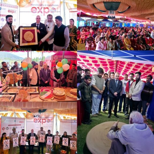 DC Kishtwar inaugurates 5 Day Handicrafts & Handloom Expo – The Kashmir ...